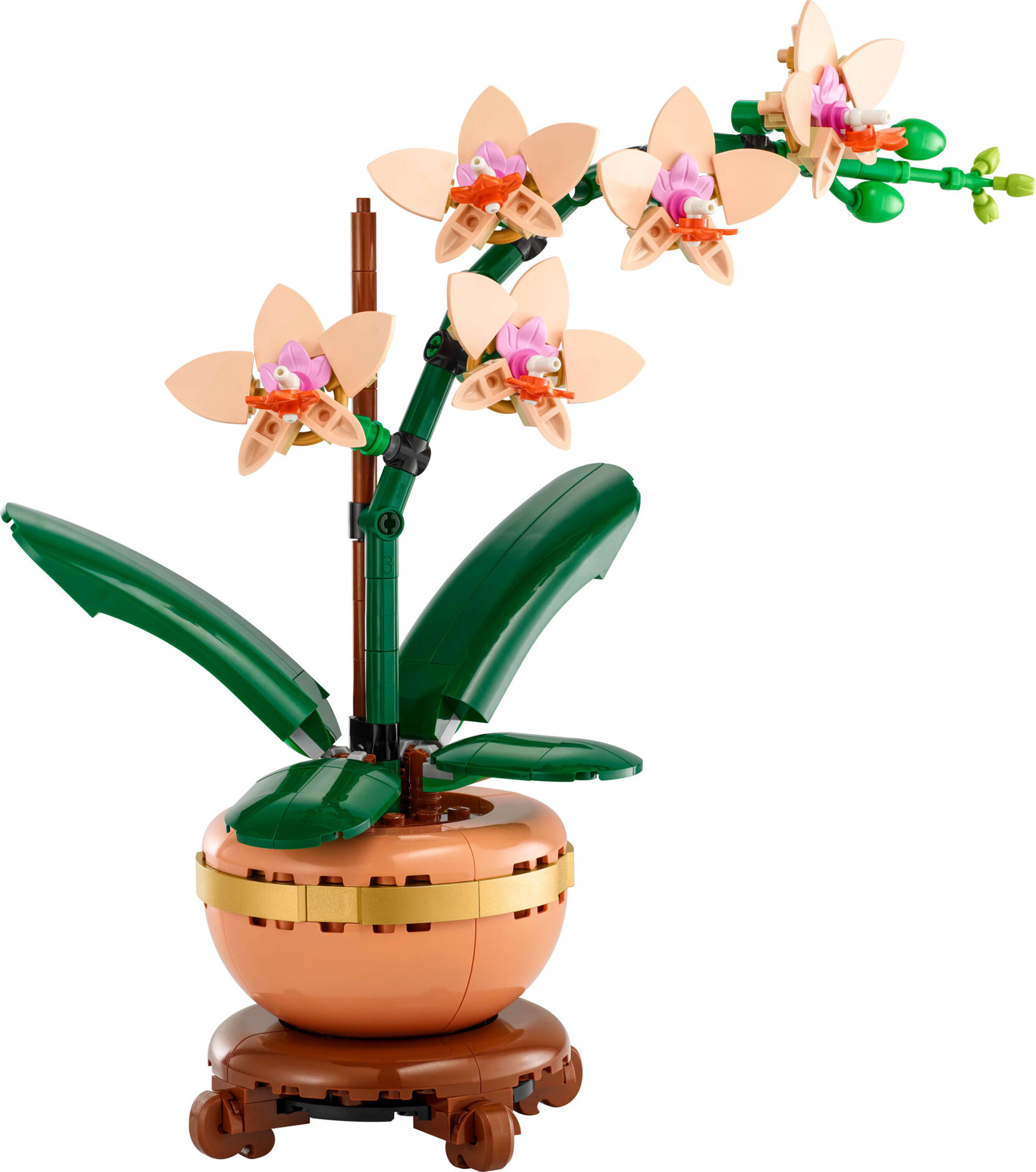 LEGO Botanicals Smá-Orkídeur 10343 | ELKO