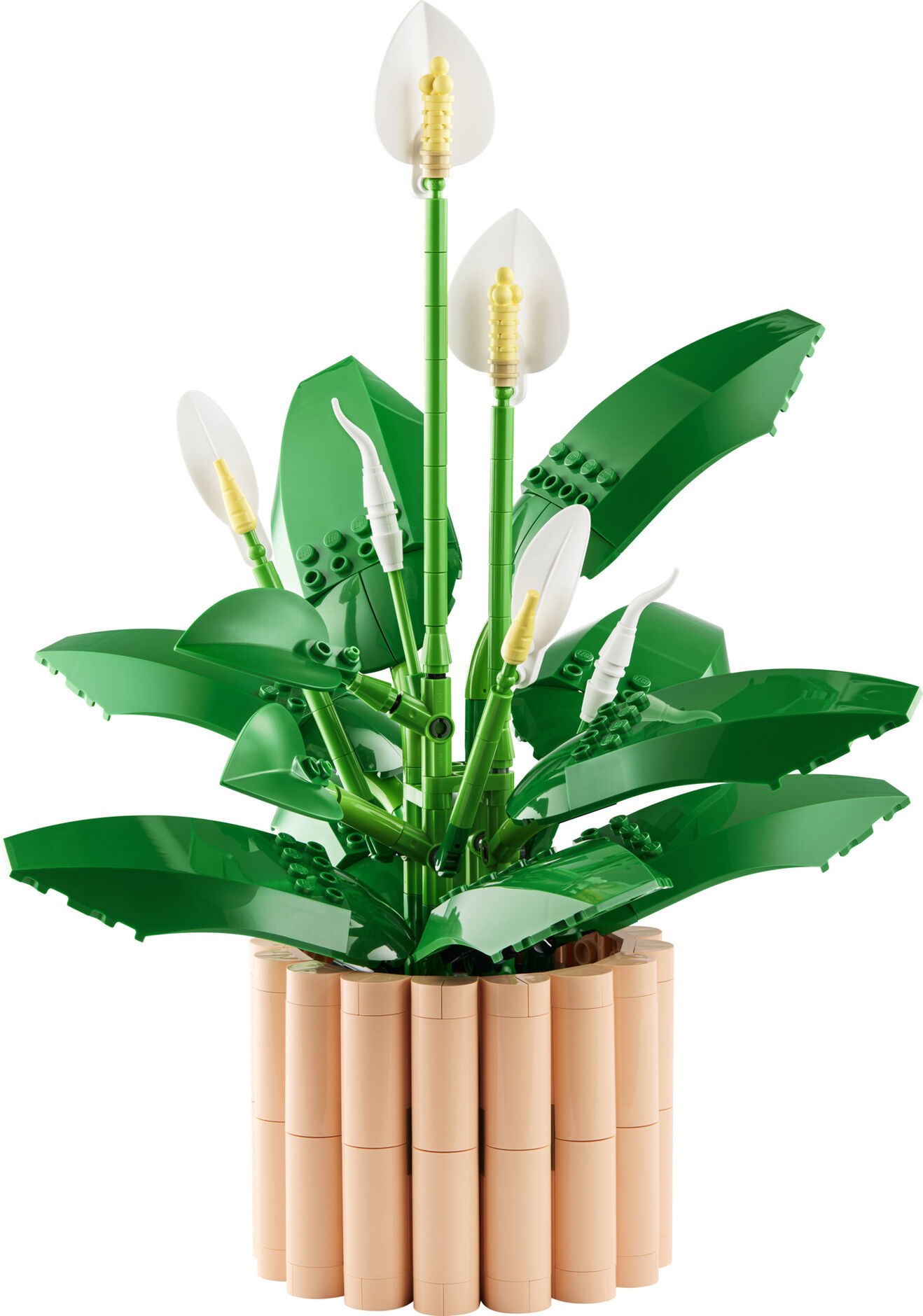 LEGO Botanicals Friðarlilja 11504 | ELKO
